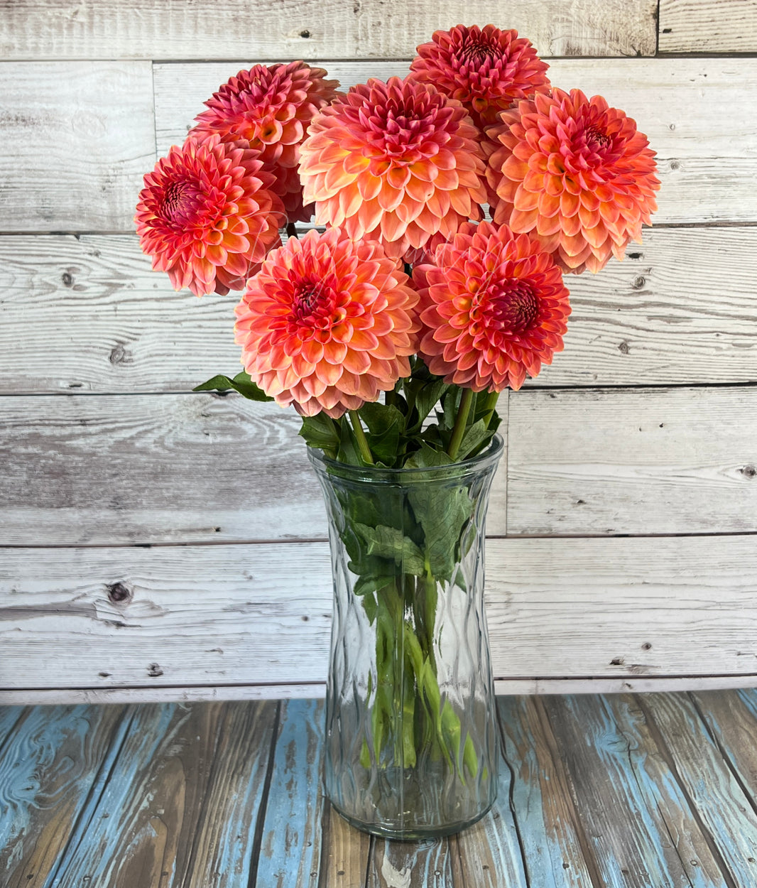 2026 Dahlia Tubers – Page 3 – RainySunday