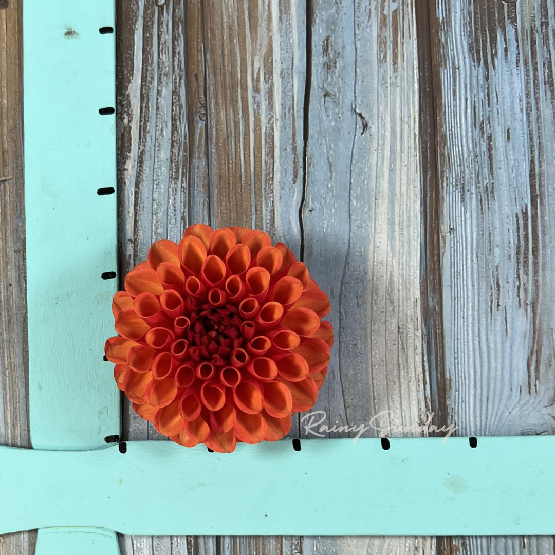 Valley Rust Bucket – RainySunday